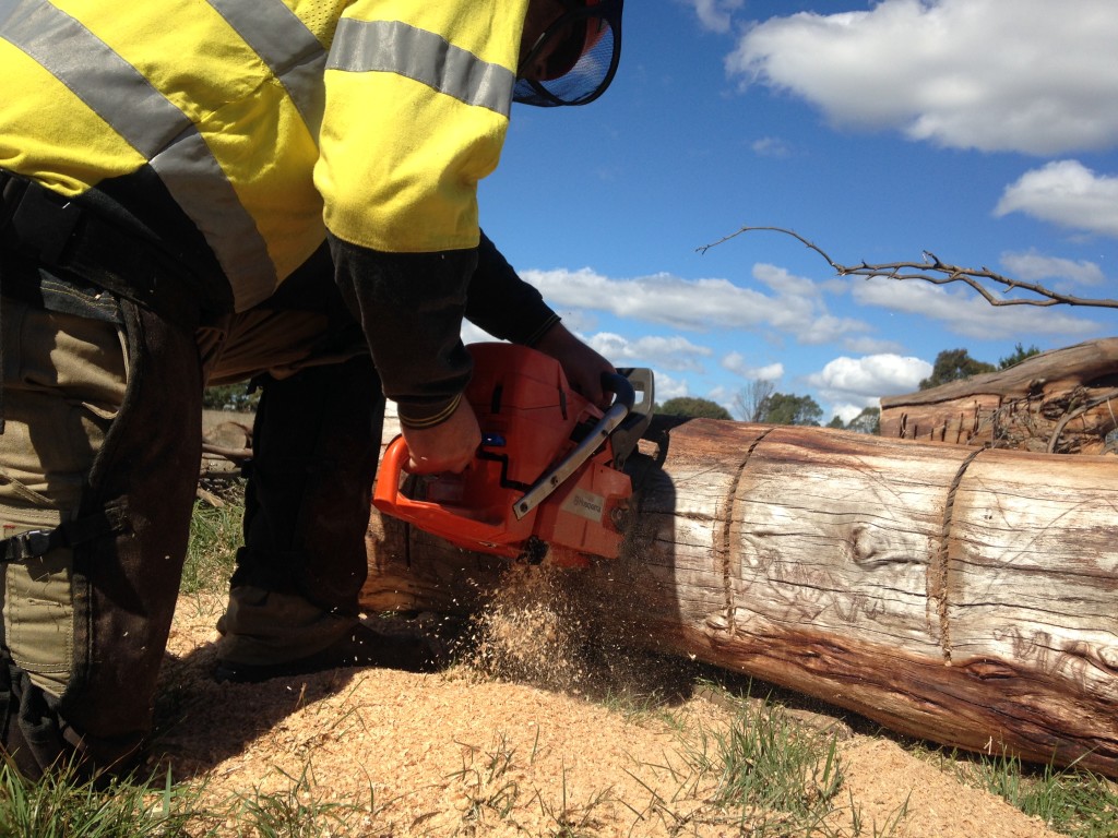Chainsaw Training Courses | Climber Training Australia